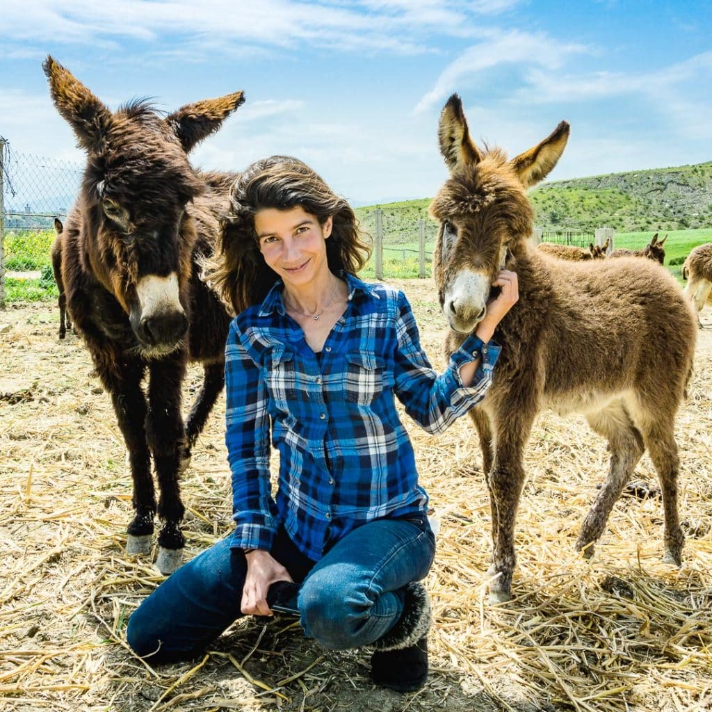 Meet Our Dedicated Team | SFT Animal Sanctuary |Tangier